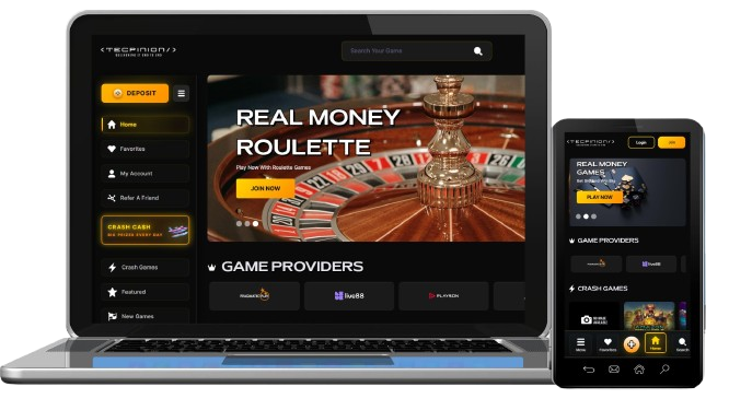 Sweepstakes Software Platform | Sweepstakes Software USA